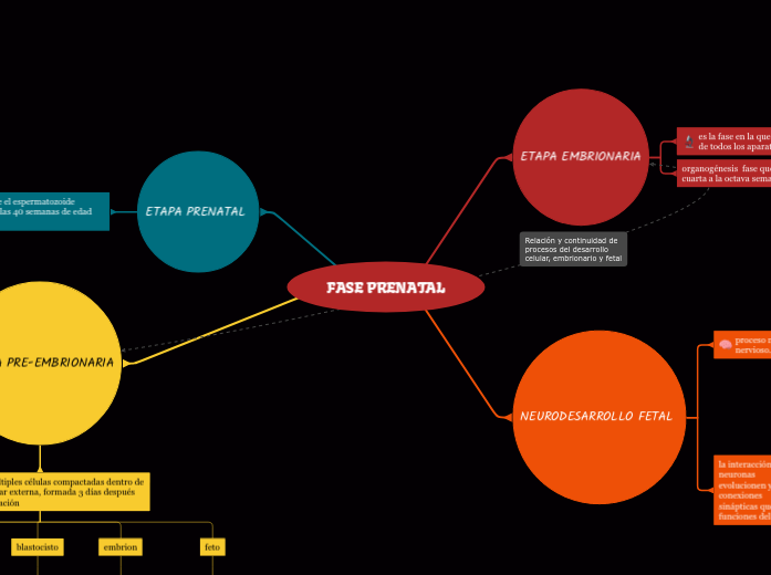 FASE PRENATAL - Mind Map
